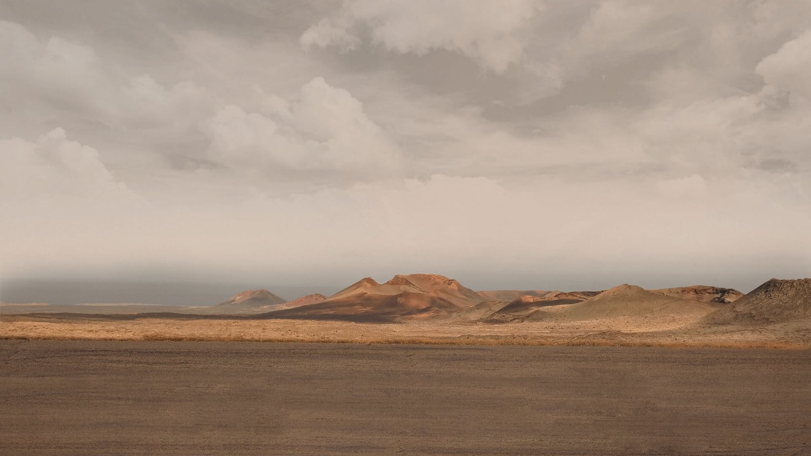 Fortune Family – Als Coach in den Wohlstand